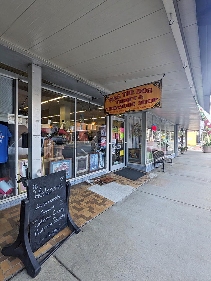 Every small town needs its quirky treasure trove. Wag the Dog Thrift Shop combines retail therapy with community service&mdash;the ultimate win-win.