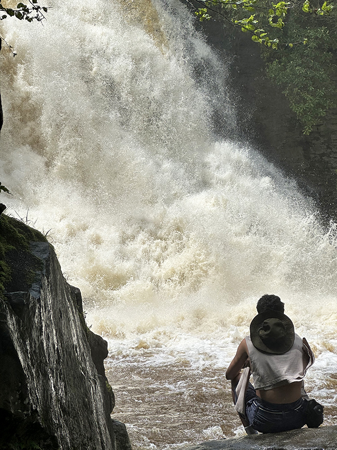When the water level rises, Muddy Creek Falls transforms from gentle beauty to raw power. Nature's mood swings are far more impressive than mine.