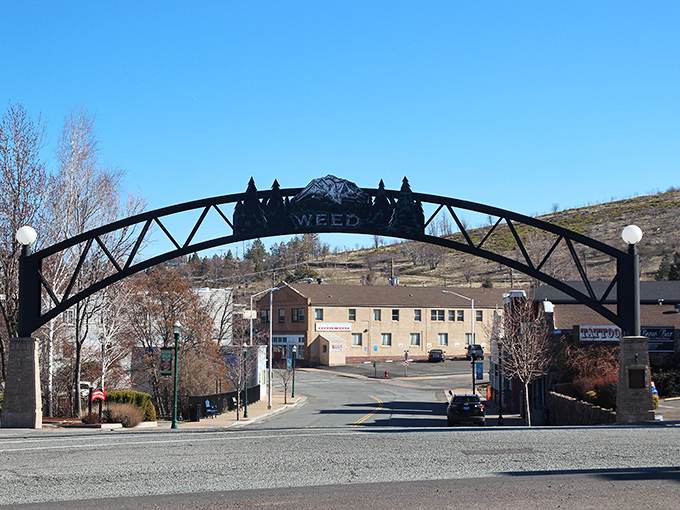 Another angle of Weed's famous welcome arch &ndash; where travelers pause for the obligatory photo before texting friends with predictable jokes.