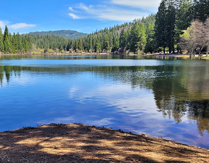 White Pines Lake mirrors the perfect blue sky, offering a serene escape where the only notification you'll get is from a curious duck.