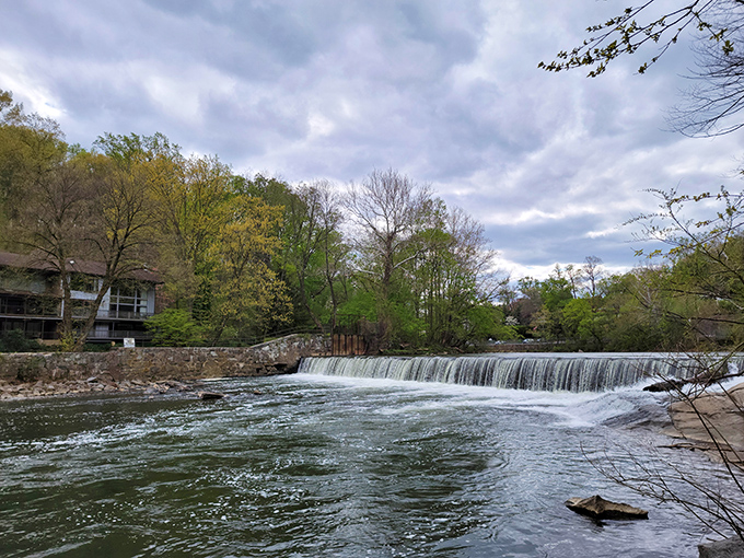 The Brandywine's gentle cascade creates nature's white noise machine – the perfect soundtrack for forgetting about your inbox for a few blissful hours.
