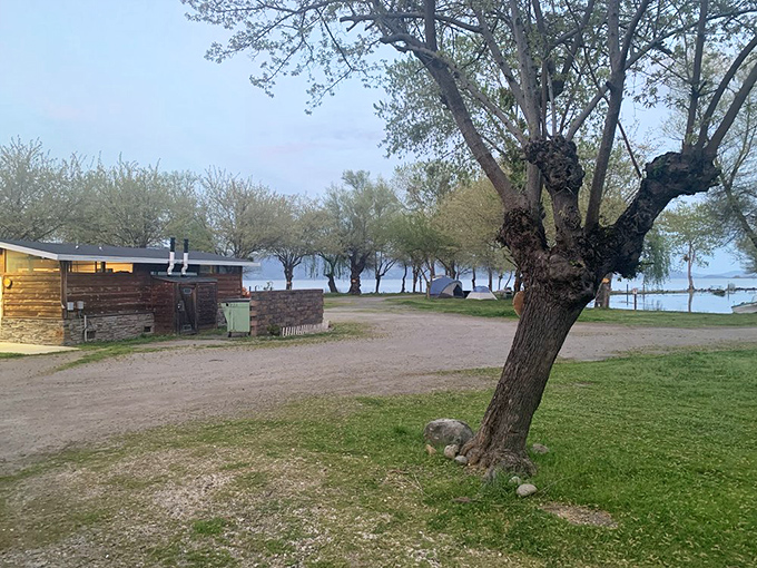 At Willow Point, the lake whispers promises of tomorrow's adventures while the setting sun paints everything in honey-gold light that photographers dream about.