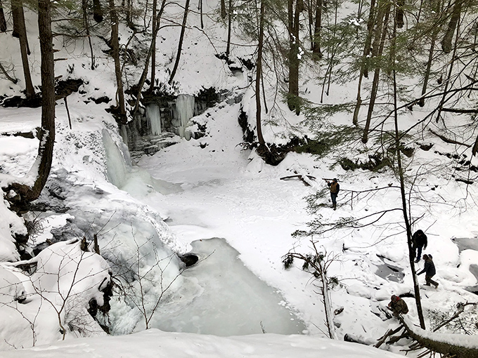 Winter transforms Freedom Falls into a sculptor's dream studio. These ice formations prove that Pennsylvania's cold season has an artistic side worth bundling up for.