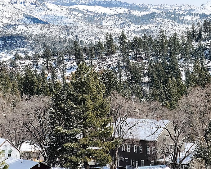 Winter transforms Markleeville into a snow globe village, where pine trees wear white coats and buildings huddle against the Sierra chill.