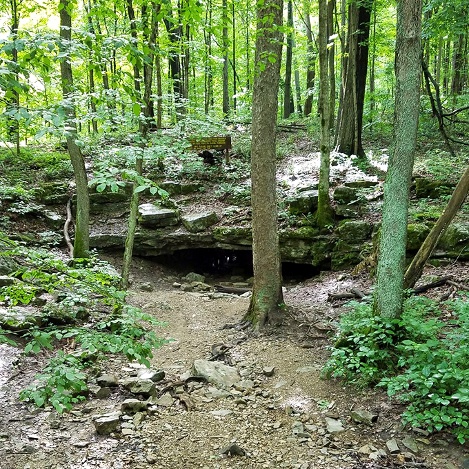 Nature's basement apartment. Wolf Cave's entrance beckons explorers with the promise of cool limestone passages and a break from Indiana's summer heat.