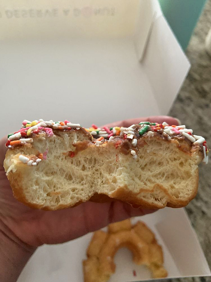 The interior of this yeast donut reveals the perfect honeycomb structure that donut dreams are made of. Texture that belongs in a museum.
