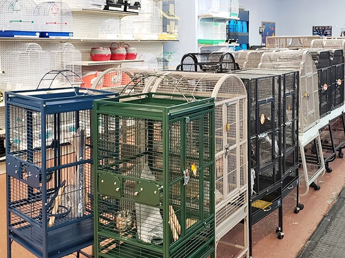 Pet paradise or Noah's modern ark? These colorful habitats await feathered and furry friends looking for forever homes.