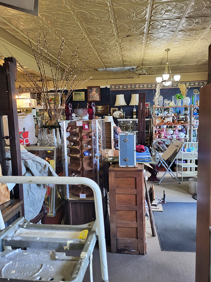 Beneath ornate tin ceilings, wooden cabinets and vintage display cases create the perfect backdrop for countless collectibles awaiting new homes.