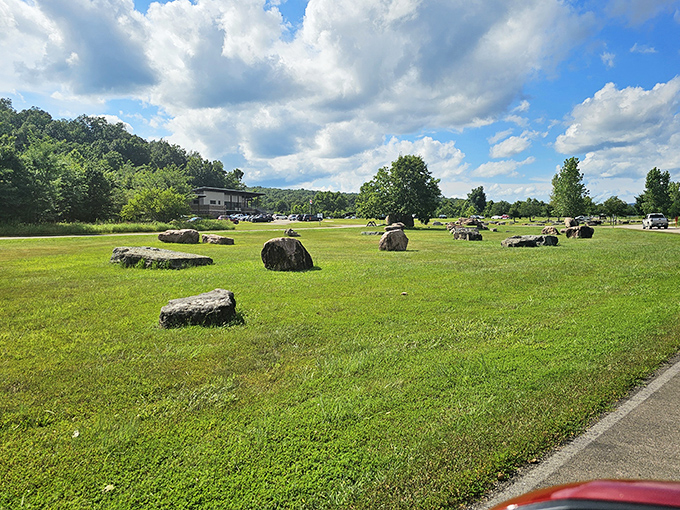 The park's open spaces dotted with ancient boulders &ndash; geological chess pieces arranged by forces we can barely comprehend.