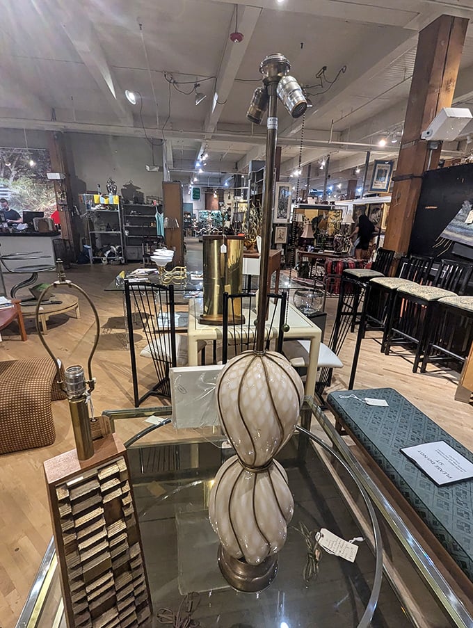 Modern lighting illuminates vintage treasures, creating a museum-like experience where everything, surprisingly, is actually for sale.