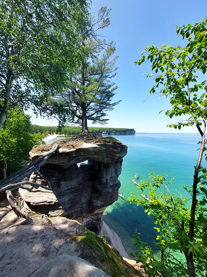 That lone tree clinging to Chapel Rock is the botanical equivalent of determination. Its roots stretch across open air!