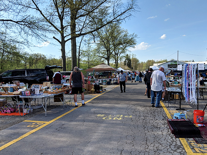 Spring sunshine illuminates the outdoor vendor rows, where every table holds the potential for that "aha!" moment collectors live for.