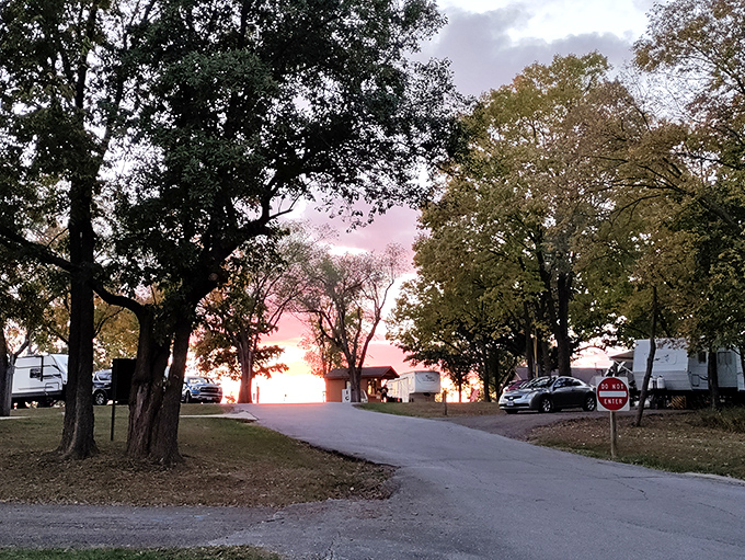 Sunset paints the campground in golden hues, transforming ordinary RVs into front-row seats at nature's nightly light show.