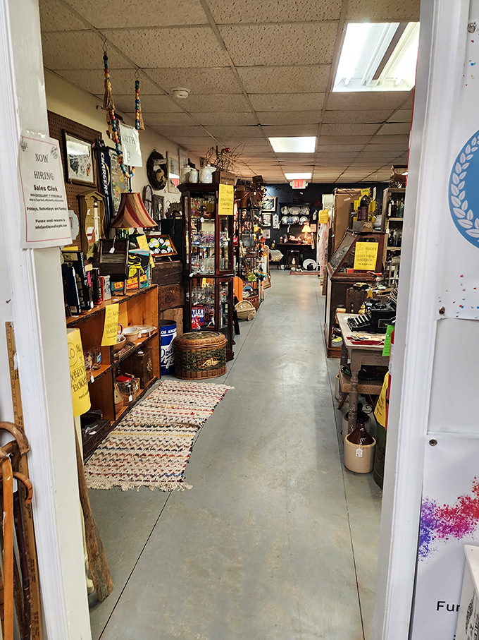 Down the rabbit hole you go! Each corridor reveals new possibilities and the tantalizing promise of finding that elusive perfect find.