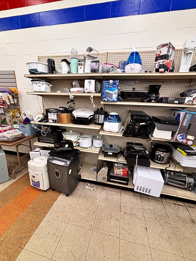 Small appliances line up like kitchen soldiers ready to revolutionize your cooking routine without breaking the bank completely.