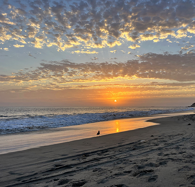 Mother Nature showing off at sunset, painting the sky in colors that would make Monet jealous. Worth every minute of the wait.