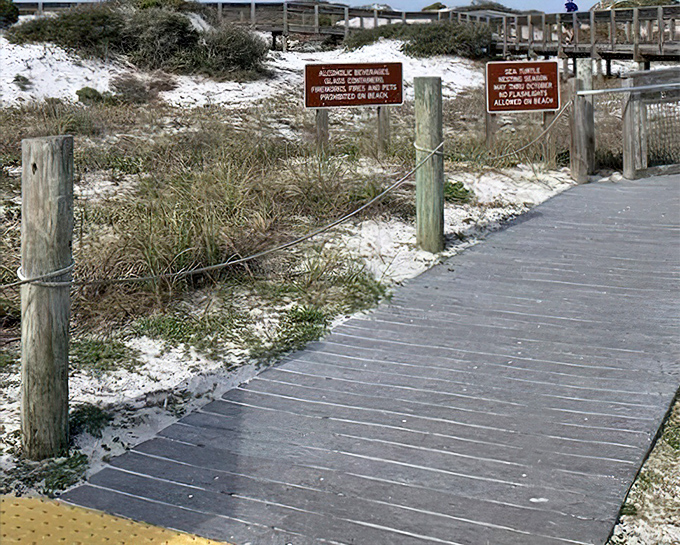 Rules of the beach: Even paradise needs a few guidelines. No alcohol or fireworks means more focus on nature's own spectacular show.