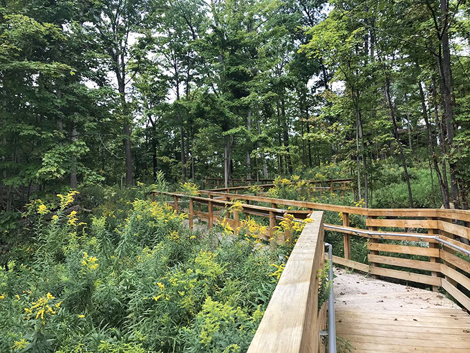 Nature's classroom comes with wooden guardrails &ndash; this boardwalk trail invites exploration without disturbing the delicate ecosystem below.