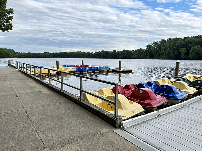The colorful armada awaits your command. These paddle boats promise adventures without requiring a captain's license.