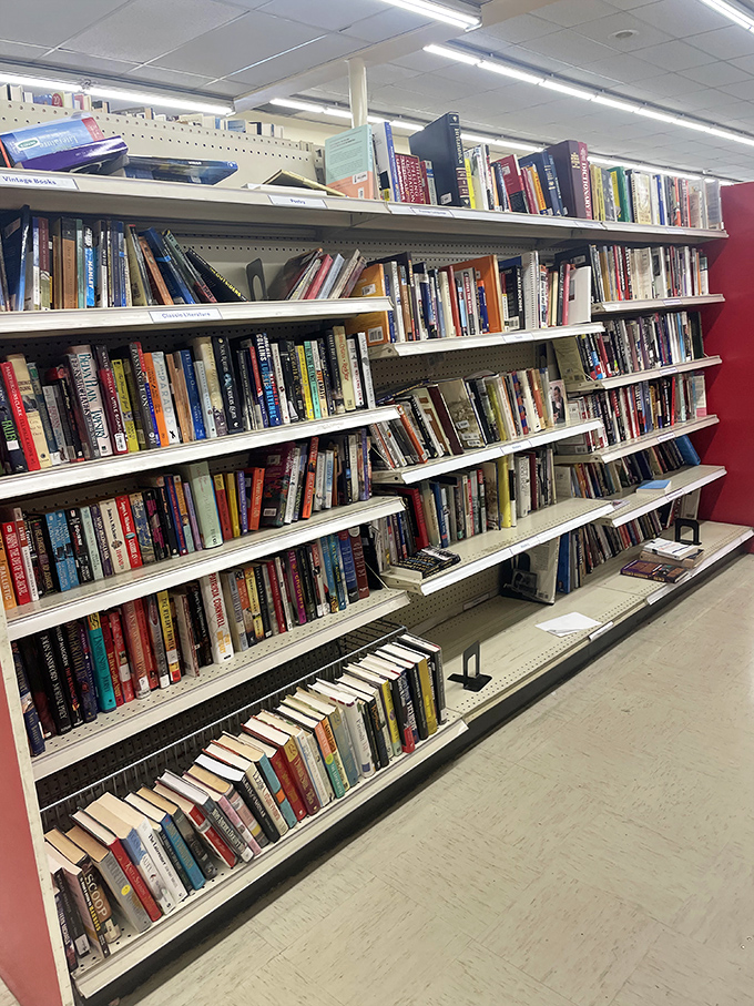 Literary treasures stack floor to ceiling, where yesterday's bestsellers become today's bedtime bargains at pocket-change prices.