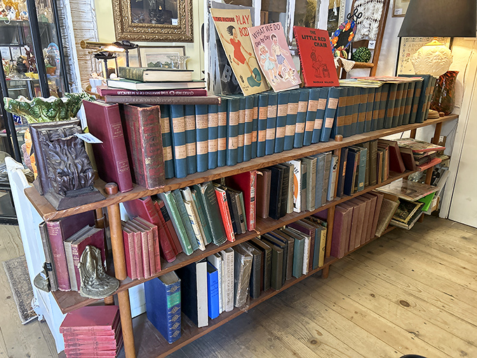 Spines aligned like soldiers of knowledge, these vintage volumes aren't just books&mdash;they're time machines bound in leather and waiting for new hands.