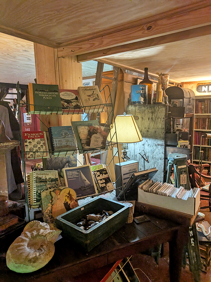 A literary corner where Florida's history sits patiently on wire racks. Books that smell like adventure and knowledge acquired before Google existed.