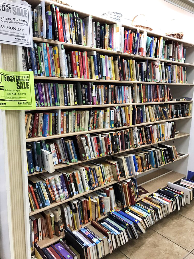 Bibliophiles rejoice! This literary goldmine houses everything from forgotten bestsellers to cookbooks that might contain someone's grandmother's secret pancake recipe.