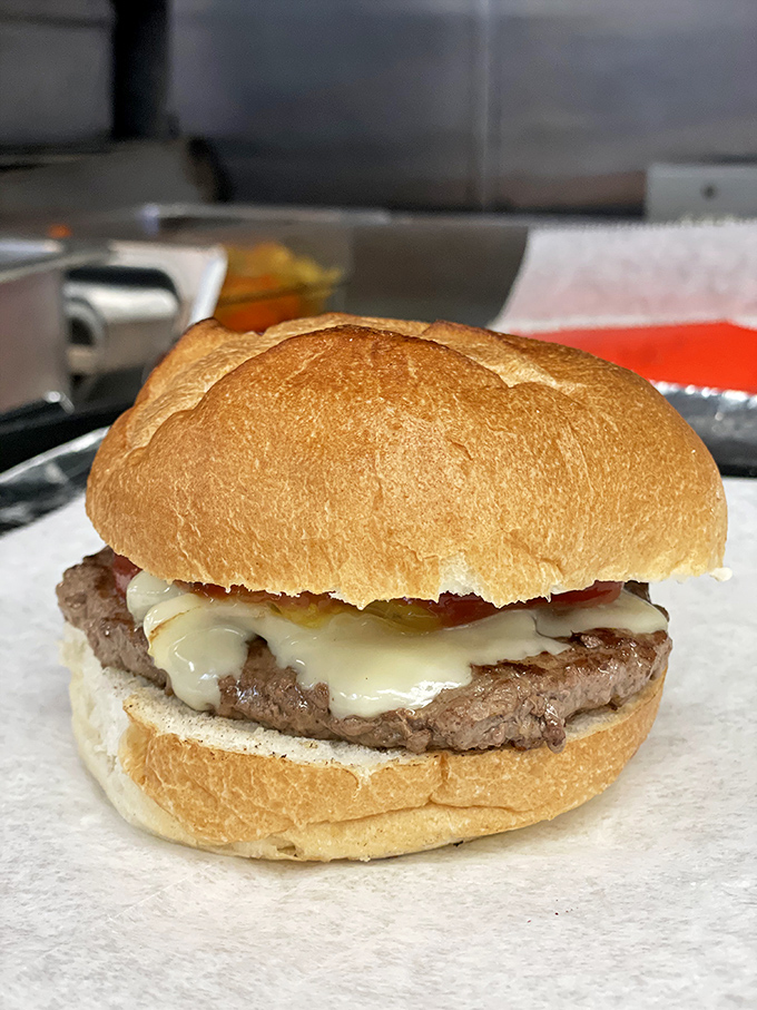 A burger that doesn't try too hard but still manages to hit all the right notes. The melty cheese cascade is pure sandwich symphony.