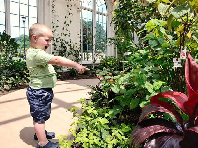 A young explorer discovers the magic of plants in the butterfly atrium. Childhood wonder: still the best app that never needs updating.