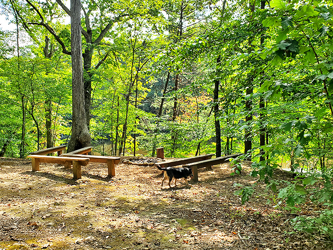 Camping's greatest magic trick: transforming a simple picnic table, twinkling lights, and crackling fire into the world's coziest outdoor living room.