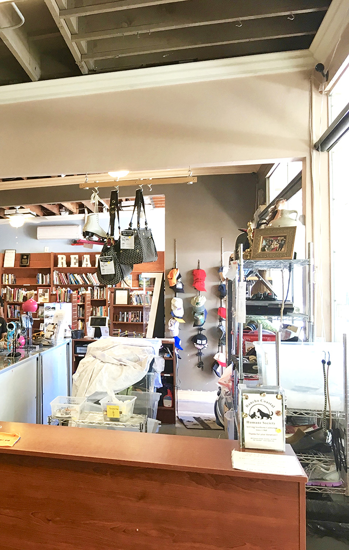 Beyond the checkout counter lies literary nirvana&mdash;shelves of stories waiting for their next chapter in someone else's home.