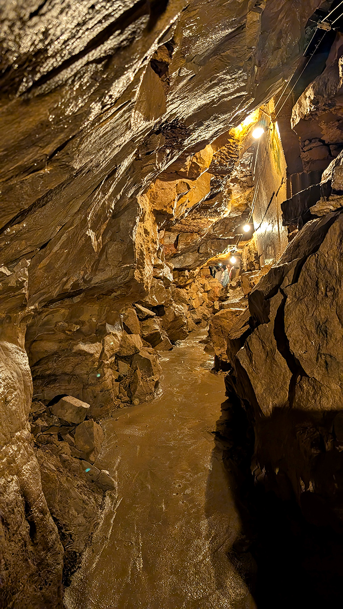 The path less traveled indeed! This narrow passage through ancient rock feels like walking through Earth's own time capsule.