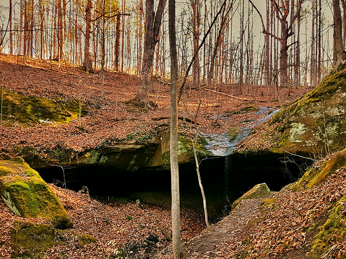 Mother Nature's basement renovation project&mdash;this cave entrance looks like the perfect hideout for both woodland creatures and imaginative grandchildren.