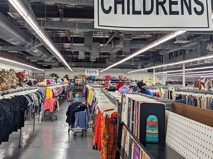 Tiny treasures fill shelves like memories preserved in miniature, where childhood favorites await new playmates.