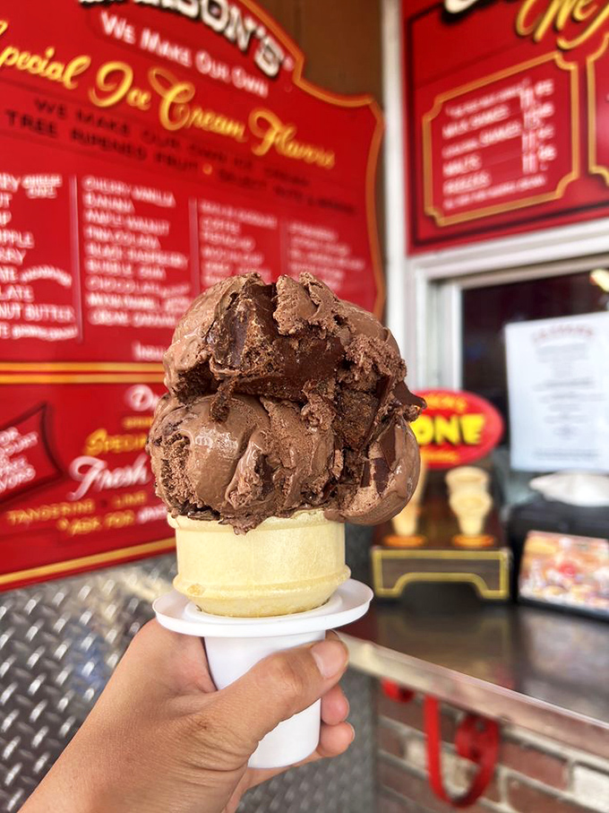 Chocolate ice cream so rich it probably has its own offshore bank account. Two scoops of this and you'll need to sign a happiness waiver.