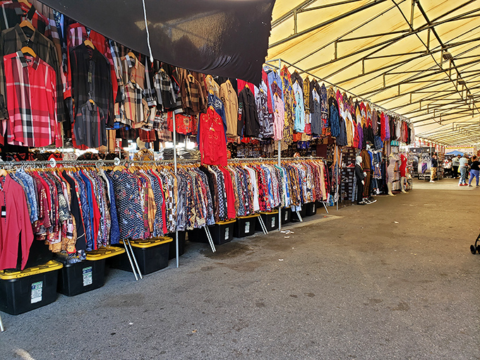 The clothing section stretches toward the horizon like a textile ocean. Here, patient shoppers can unearth designer gems hiding among everyday threads.