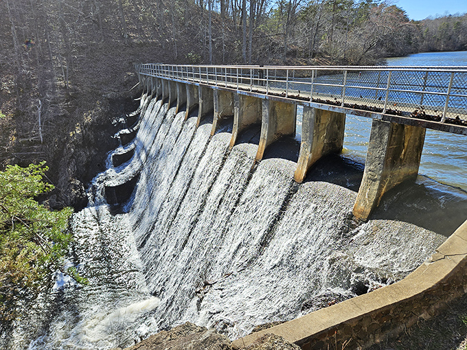 Engineering meets nature at the park's dam. Water cascades down like nature's version of that fancy rainfall shower you splurged on in your bathroom renovation.