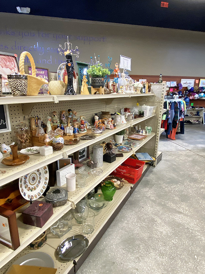 From practical kitchenware to whimsical figurines, these shelves hold the missing pieces to homes you haven't even decorated yet.