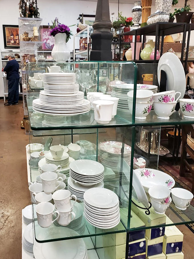 Fine china that's seen more interesting dinner conversations than most therapists. These plates have stories to tell.