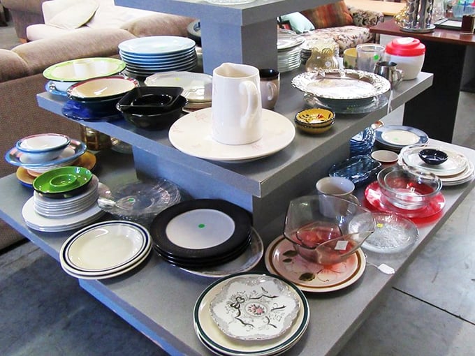 Plates, bowls, and serving pieces await new homes, like culinary orphans ready to star in your next dinner party without breaking the bank.