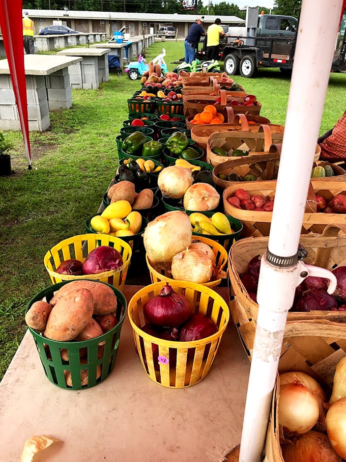 Farm-fresh goodness lined up like edible jewels. These vibrant fruits and vegetables traveled mere miles from field to market.