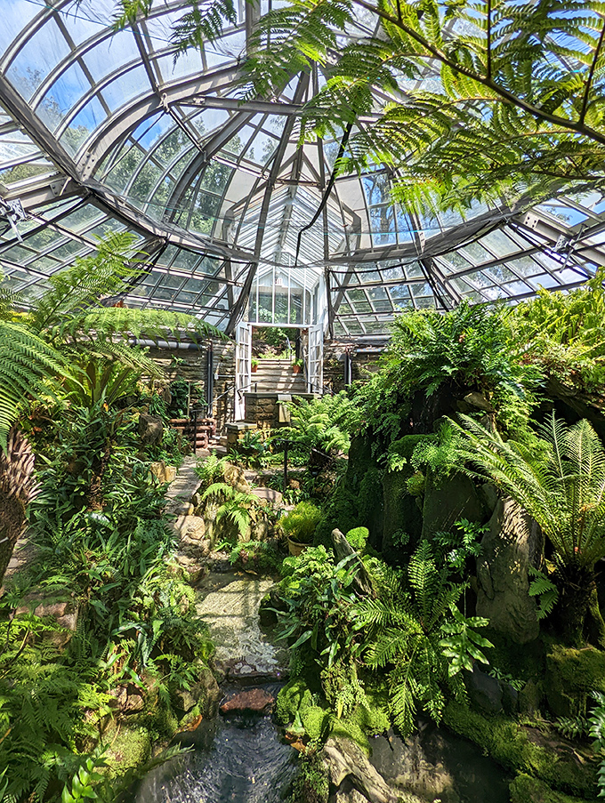 The fernery's glass cathedral lets you experience Jurassic Park without the inconvenience of being eaten. Prehistoric plants living their best life in modern luxury.