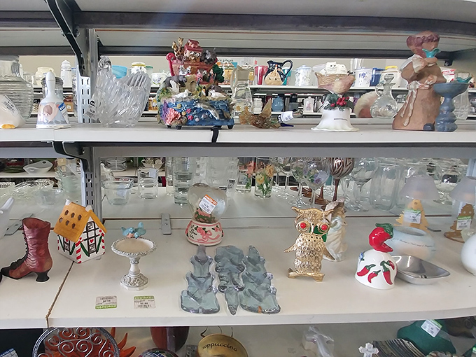 These little treasures have more stories than your uncle at Thanksgiving dinner.