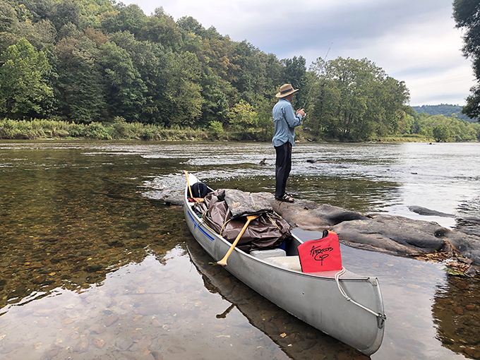 The patient angler knows: fishing isn't just about catching dinner, it's about standing in a masterpiece while waiting for the plot to develop.