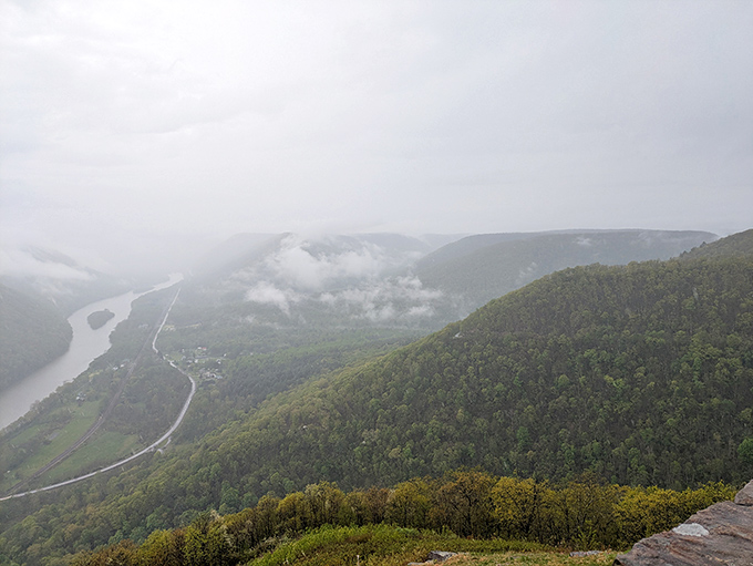 Morning fog transforms the valley into a mystical dreamscape. It's nature's version of that soft-focus filter everyone secretly uses on their profile pictures.