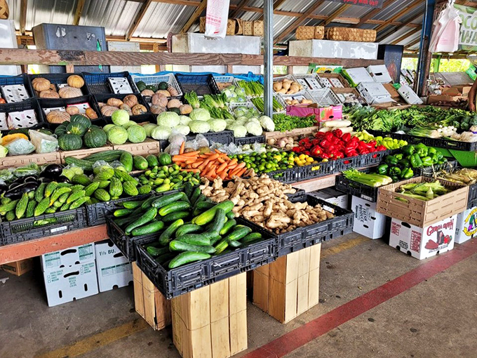 Farm-fresh vegetables that remember what real flavor tastes like, minus the supermarket markup scheming.