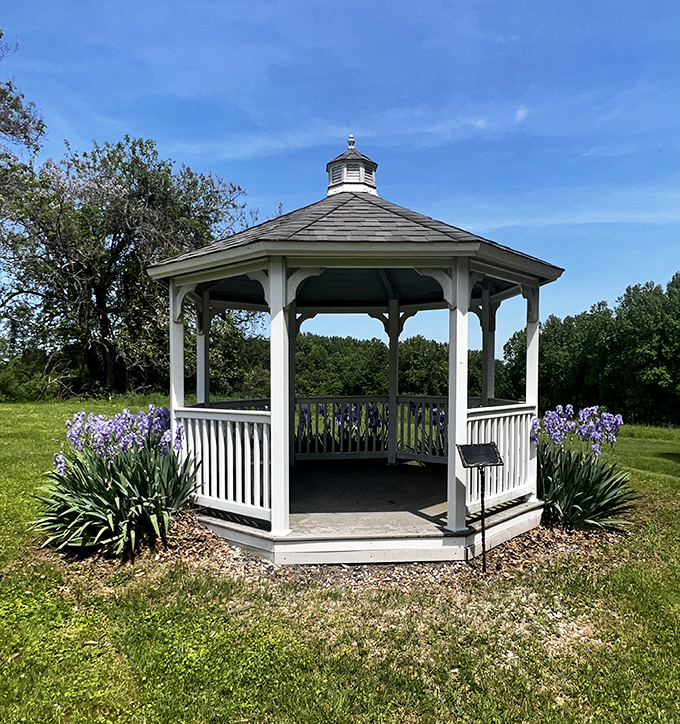 The gazebo that launched a thousand selfies. Surrounded by iris blooms, it's the park's unofficial wedding chapel and meditation station rolled into one.