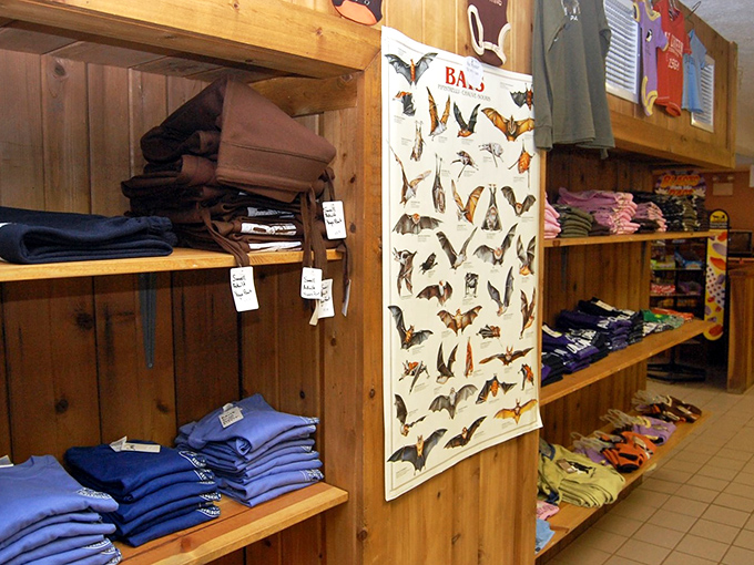The gift shop follows cave exploration tradition&mdash;bat posters, colorful rocks, and branded merchandise await. Because what's an adventure without taking a little piece of it home?