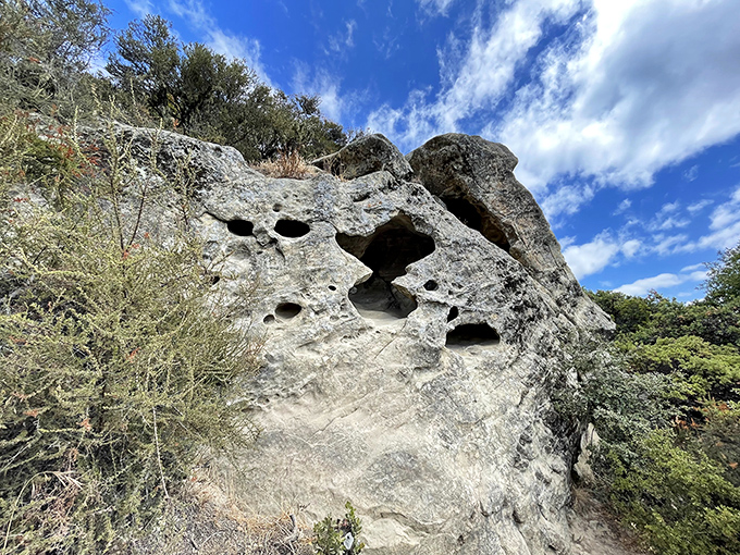 Goat Rock stands like nature's Swiss cheese &ndash; pockmarked, distinctive, and somehow more impressive than it has any right to be.