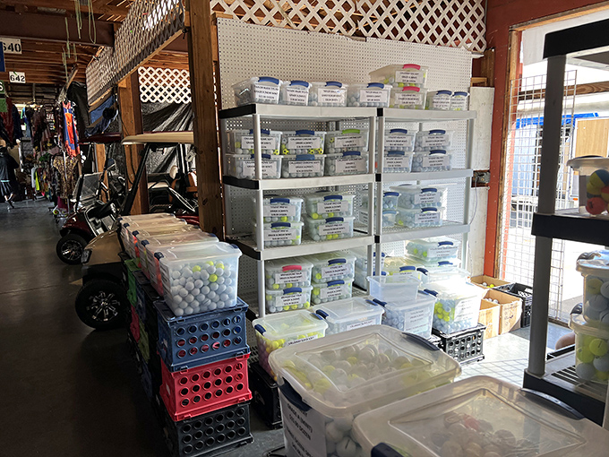 Organization meets obsession in this vendor's display&mdash;proof that even the most random items find their perfect presentation at Red Barn.